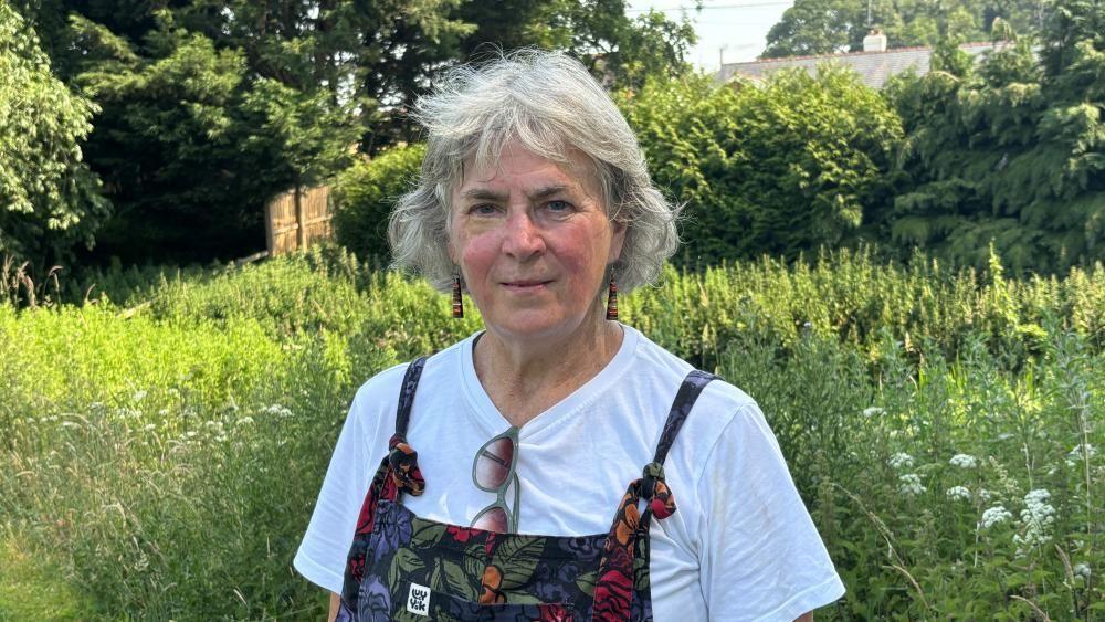 Volunteers clearing invasive plant from riverbank