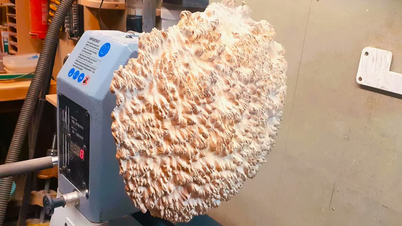 The wood decided the design this time