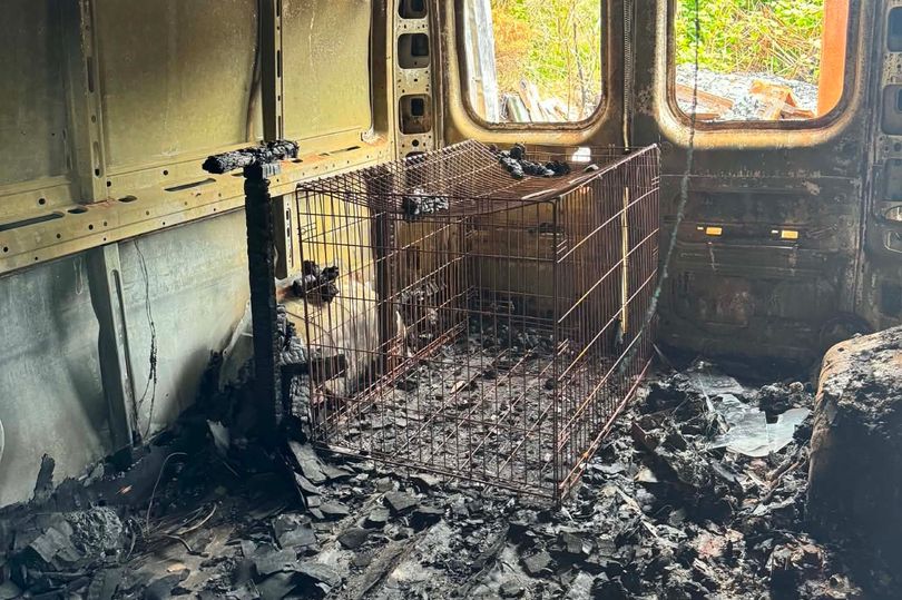 Van converter who lost customers thousands says he is 'devastated' for them