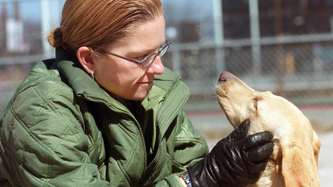 7 gentle petting techniques to bond with your dog