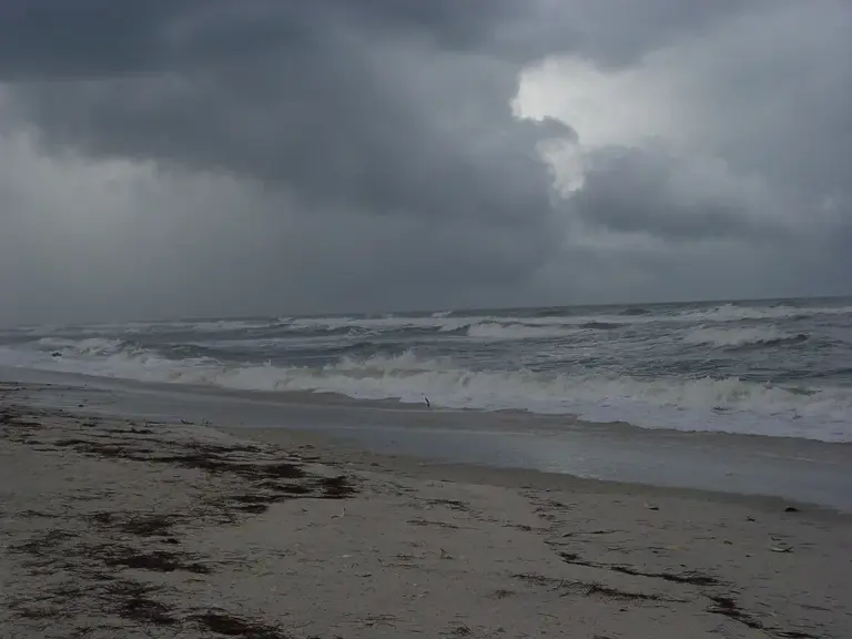 Florida locals secretly love this quiet Gulf Coast island over the ...