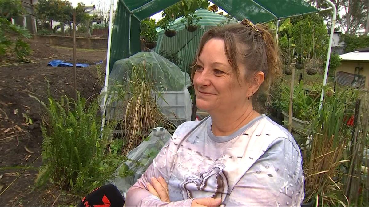 Queensland couple uncover teaching skeleton while digging fence holes ...