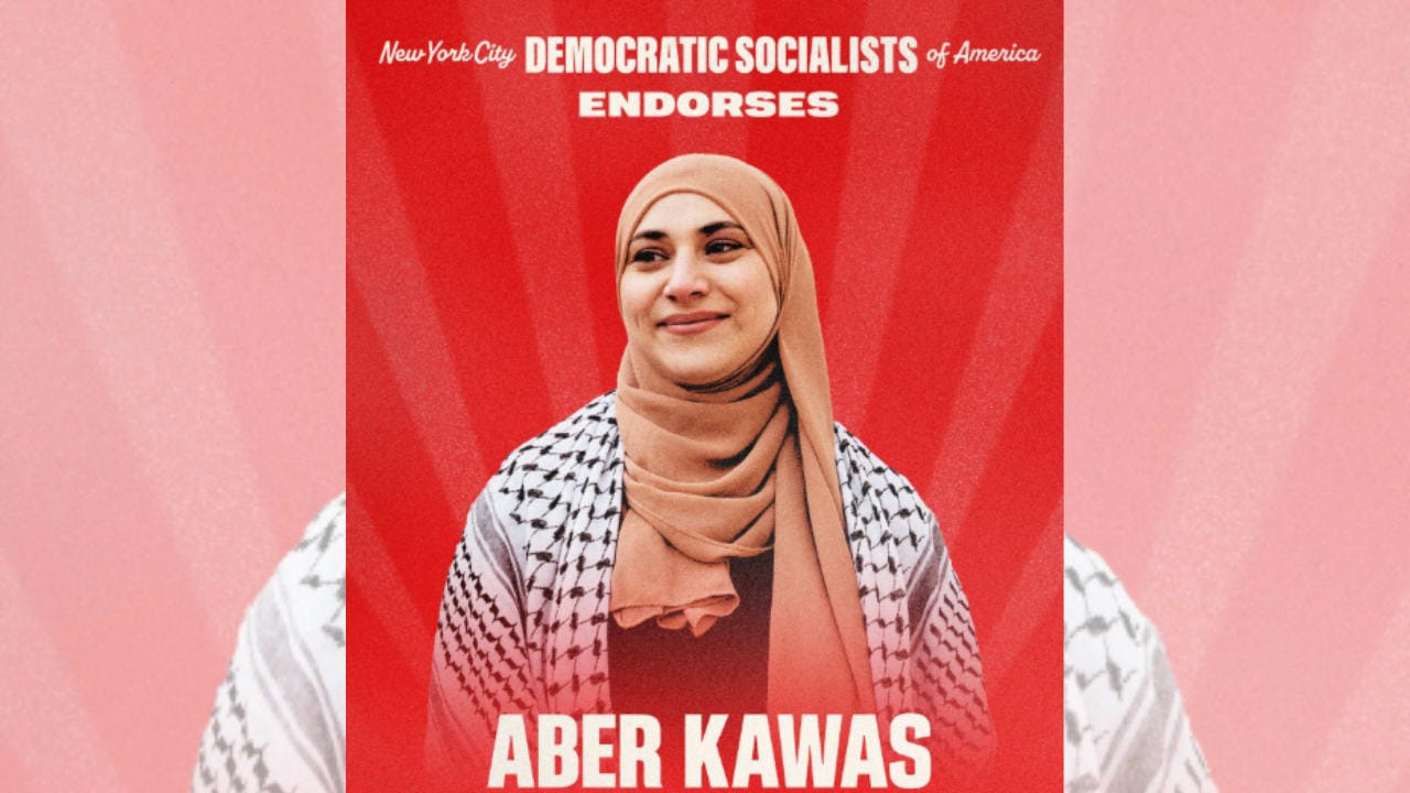 Palestinian-American wins New York State Senate primary race, aims to ...