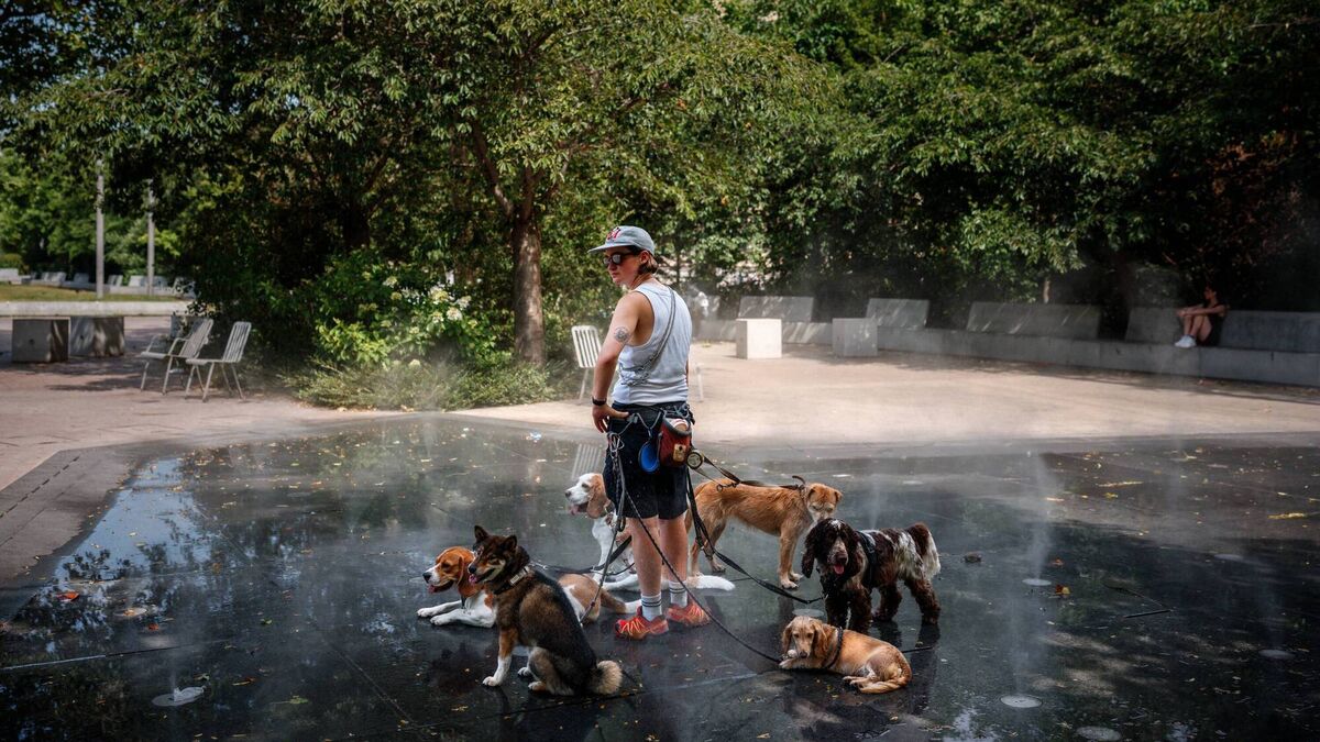 Heat warning continues in Ireland as unprecedented heatwave hits Europe