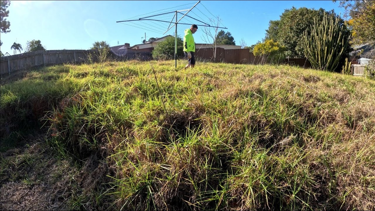 This overgrown yard was hiding something under the grass