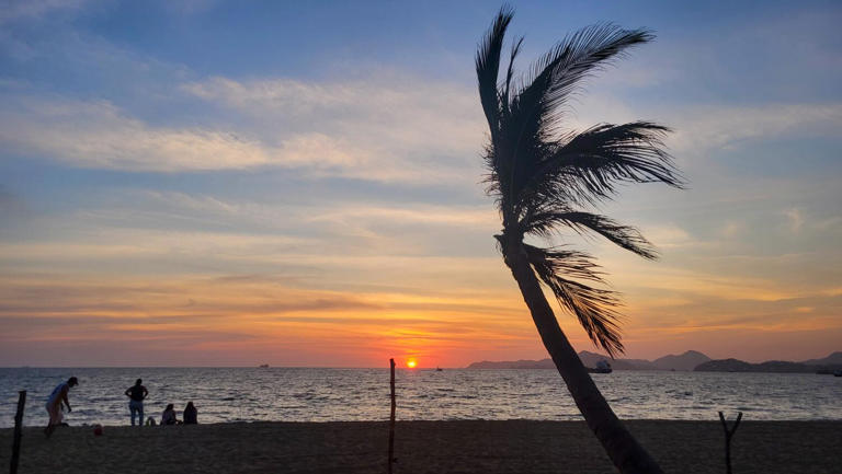 Mexico's palm wine has been a fascinating culinary bridge to the ...