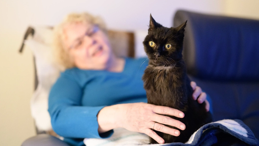 Understanding cat years and human age equivalents