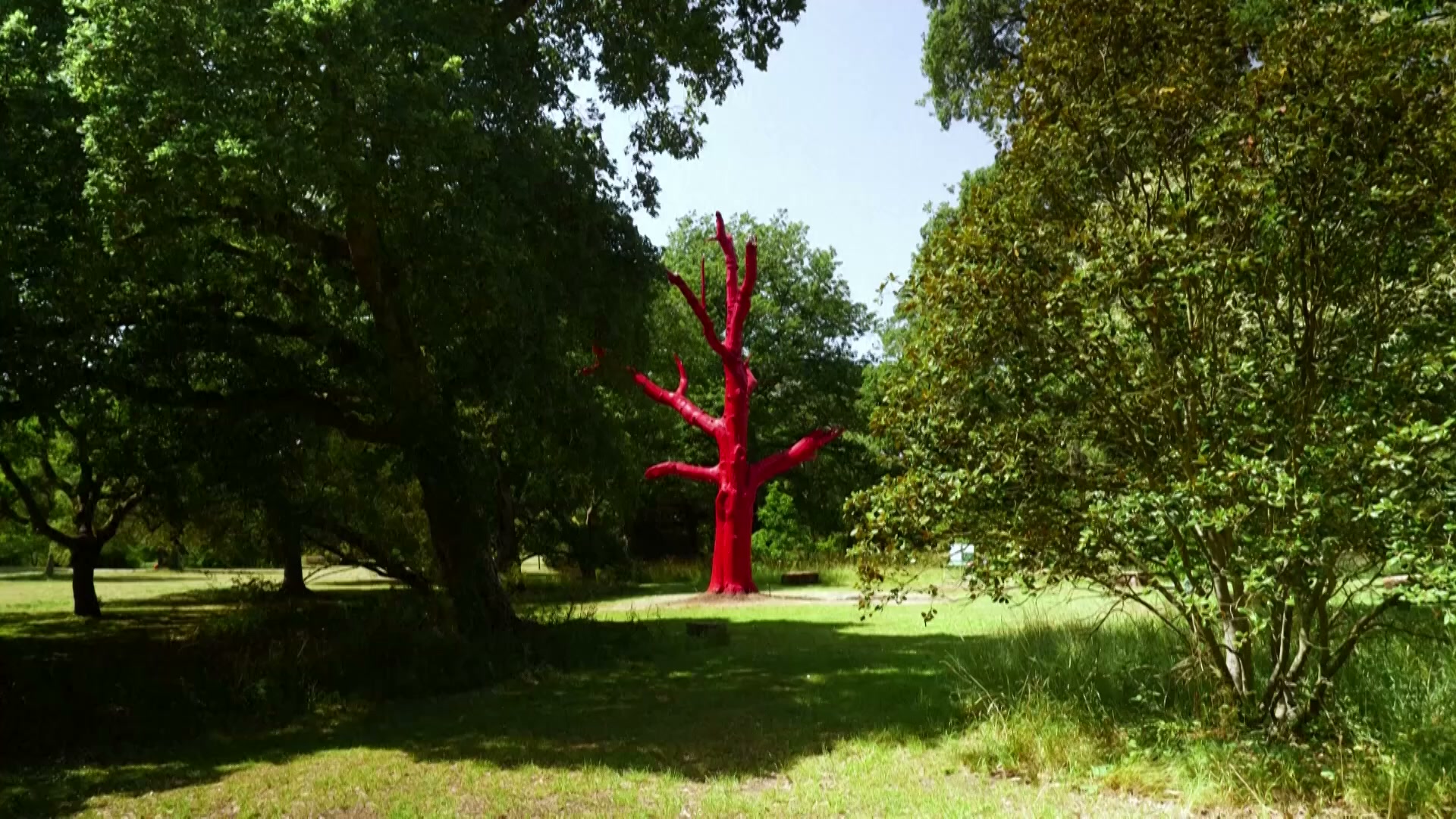 Dead tree painted red to highlight climate change impact