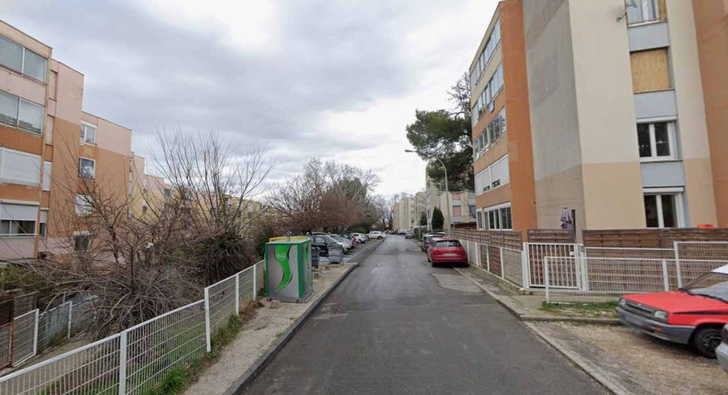 Mum charged with manslaughter after brothers, 4 and 2, died in car in ...