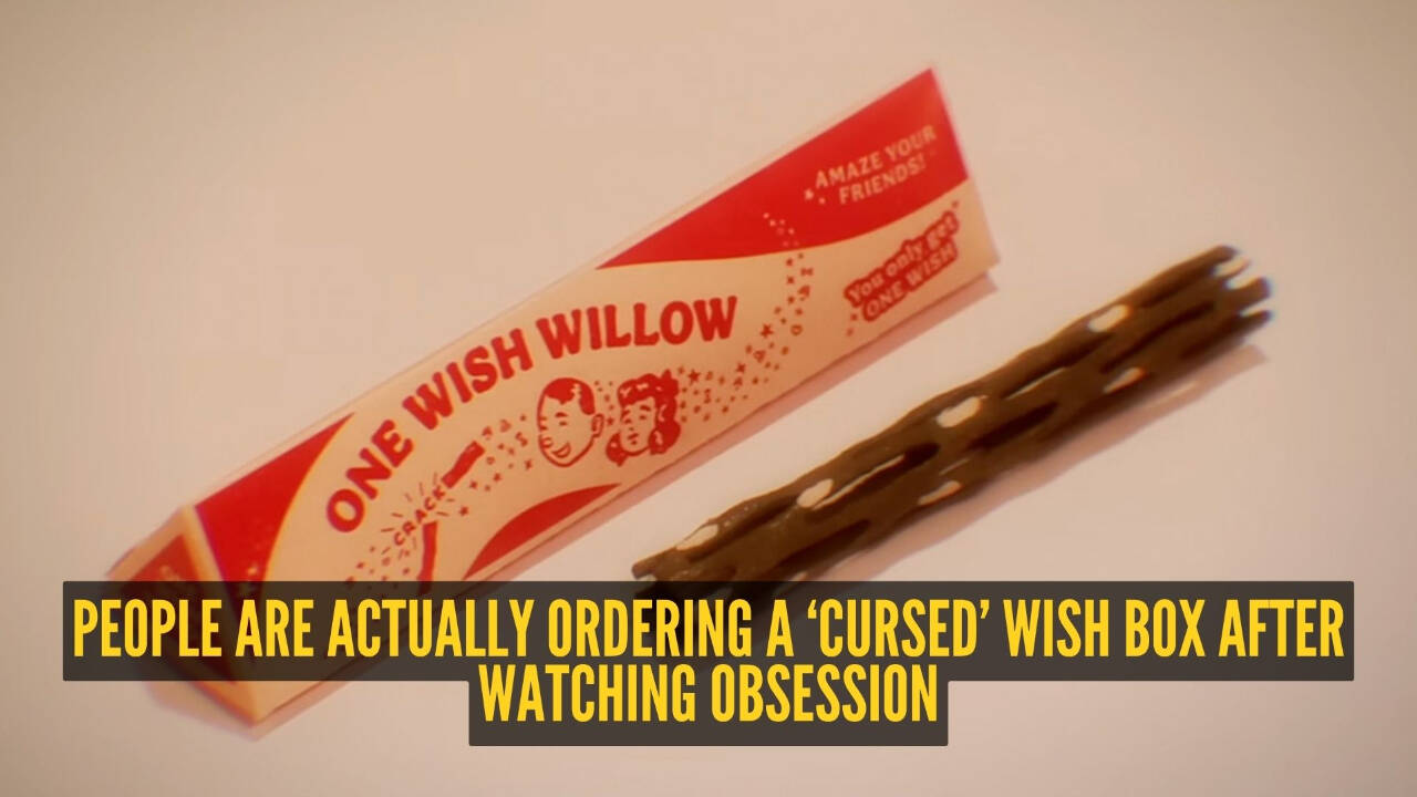 The viral 'One Wish Willow' trend explained: Why the internet is ...
