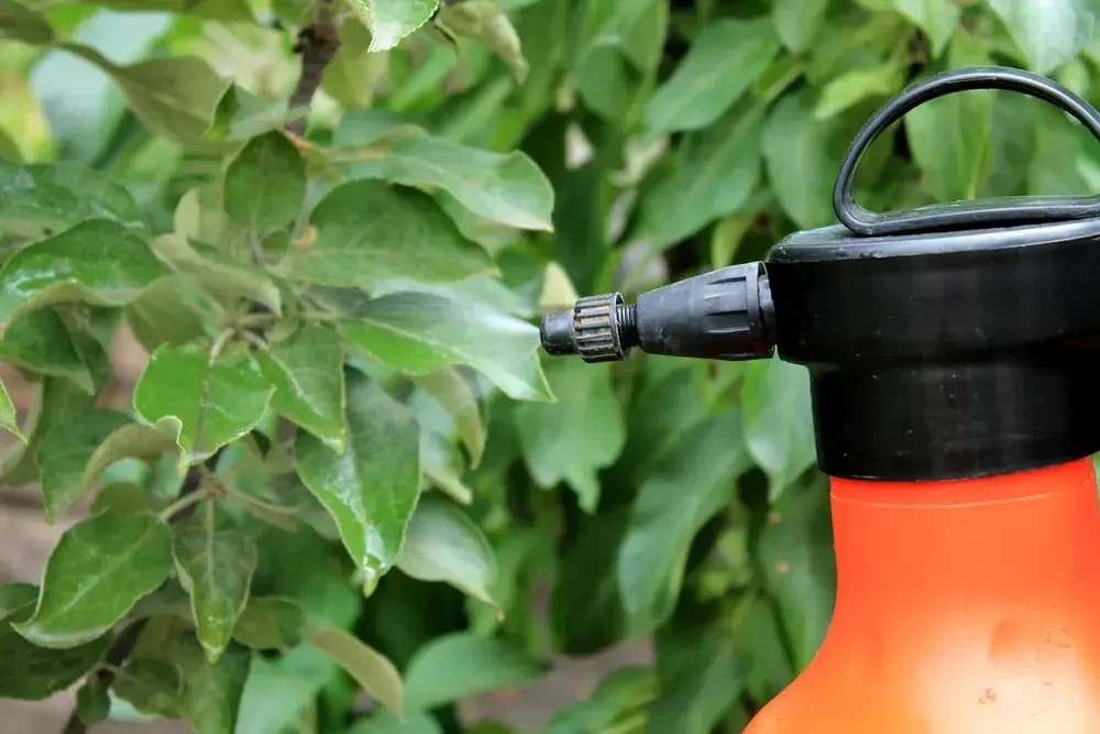 The impact of exposure to pesticides on fetal brain development