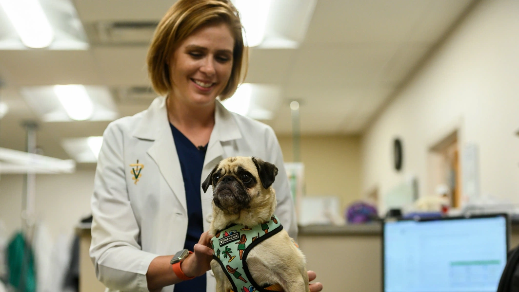 Recognizing dog behaviors that signal danger or illness