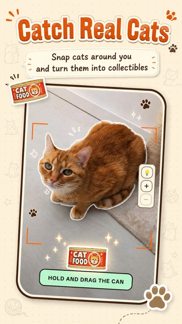 'Pokemon Go for cats' game CatchCat returns after sudden removal of ...