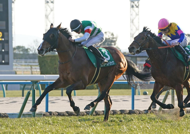 【3歳以上次走報】サンダーストラックは関屋記念を視野