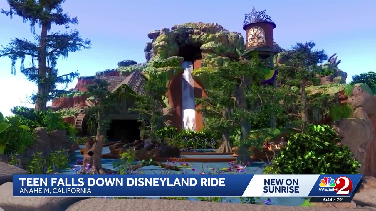 Teen falls from Disneyland ride after jumping off before 50-foot drop