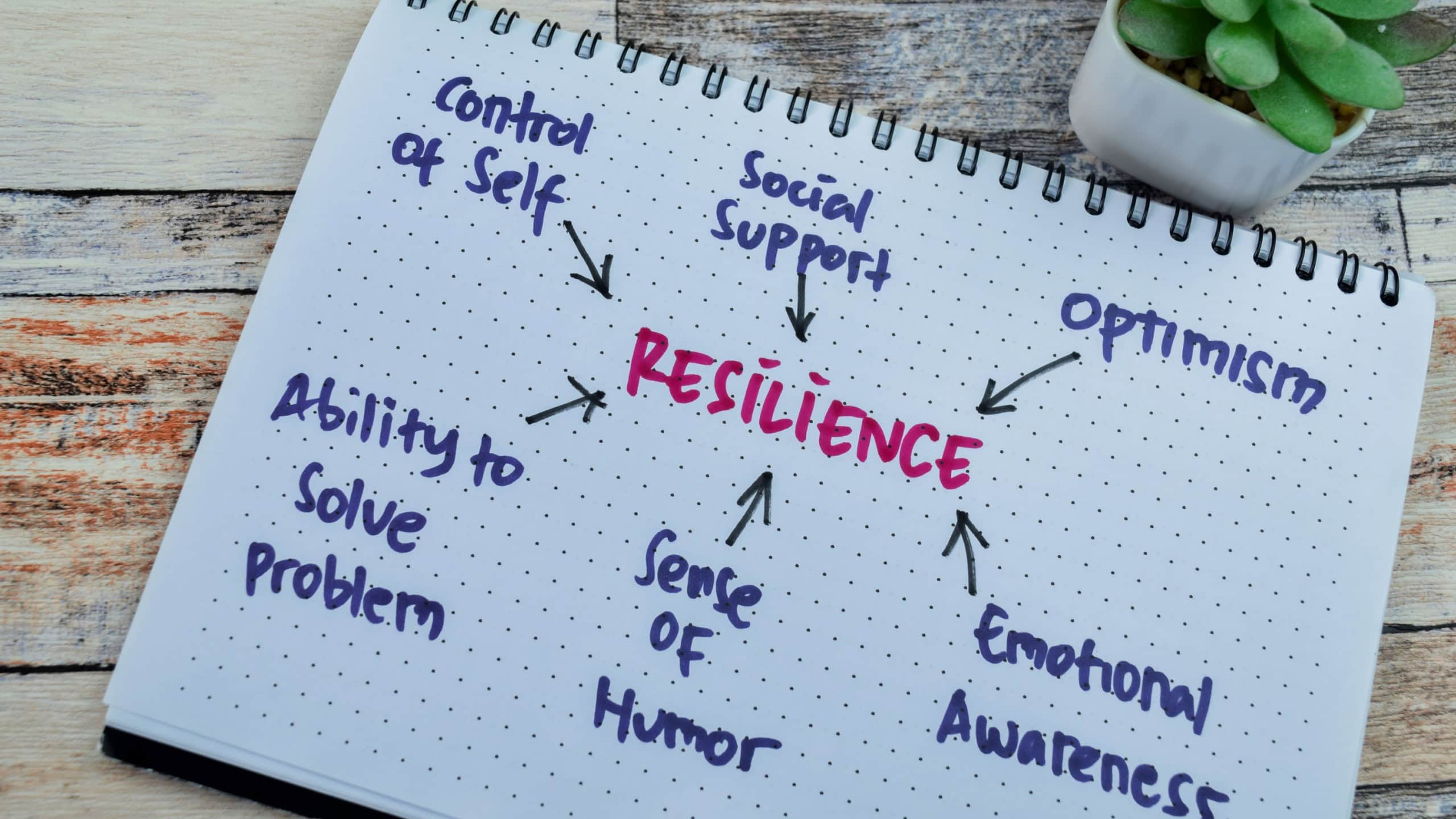 13 traits that successful people have in common