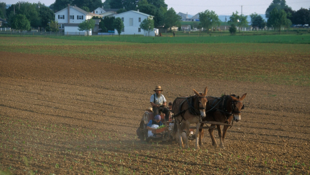 Amish history, beliefs, and daily practices