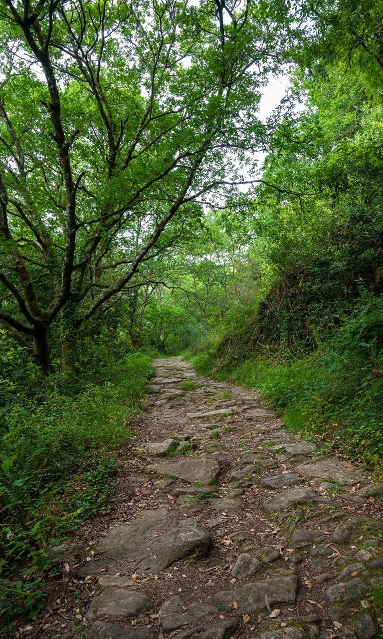 La comarca de Galicia que es una joya y pocos conocen: monasterios ...