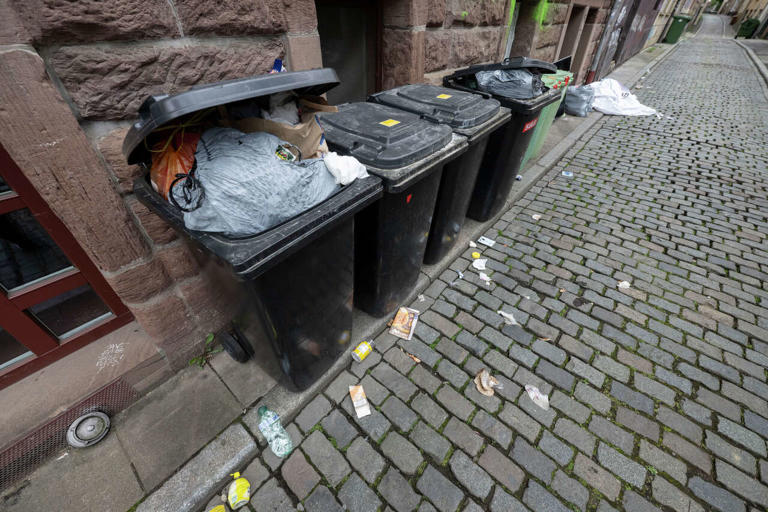 Is it legal to throw trash in someone else's bin? Here's what Texas law ...
