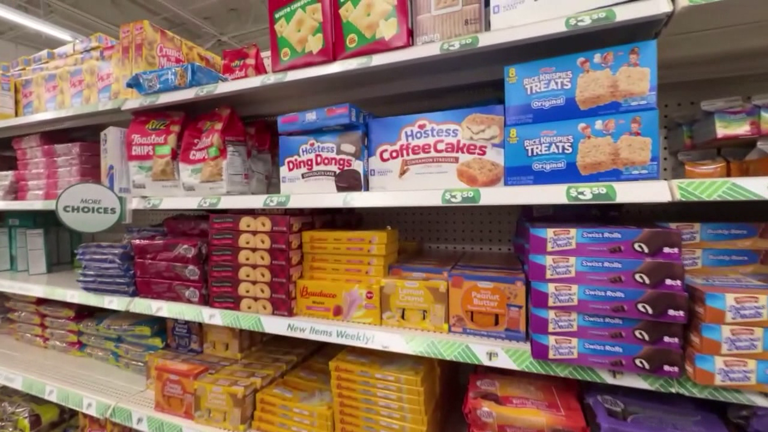 Florida among states affected as judge strikes down SNAP restrictions ...