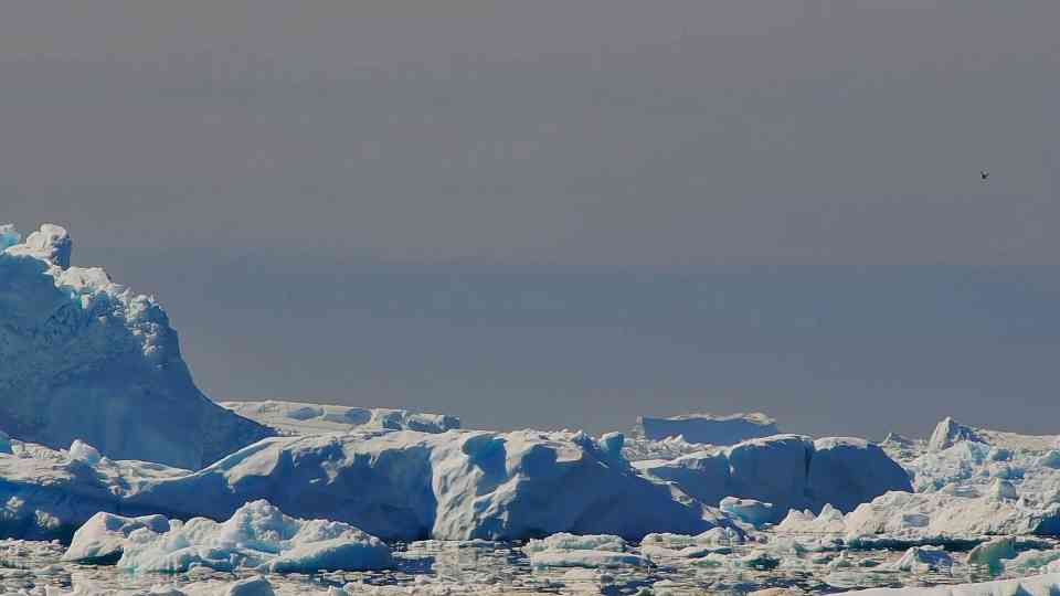 Watch massive icebergs creep past a town in Greenland