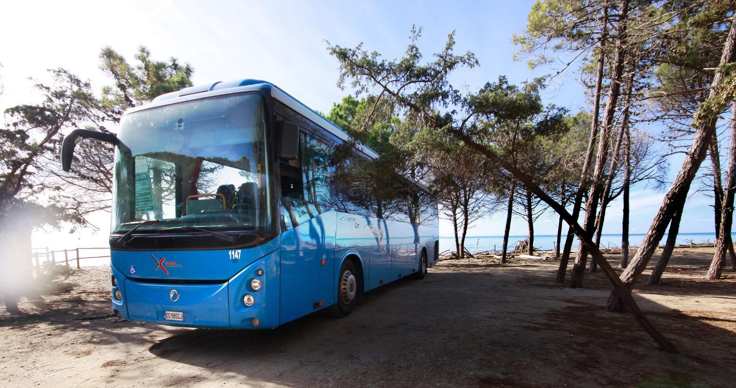 Estate: torna il collegamento estivo per Rimini e Riccione