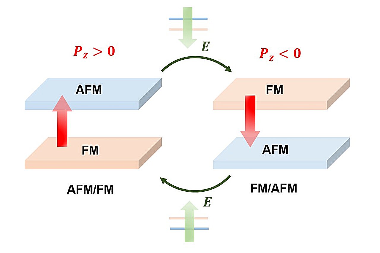 Interlayer self-doping could unlock room-temperature multiferroics in ...