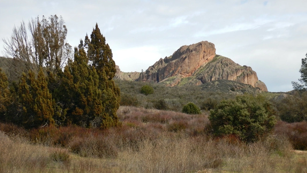 Pinnacles National Park: Geology, wildlife, and trails