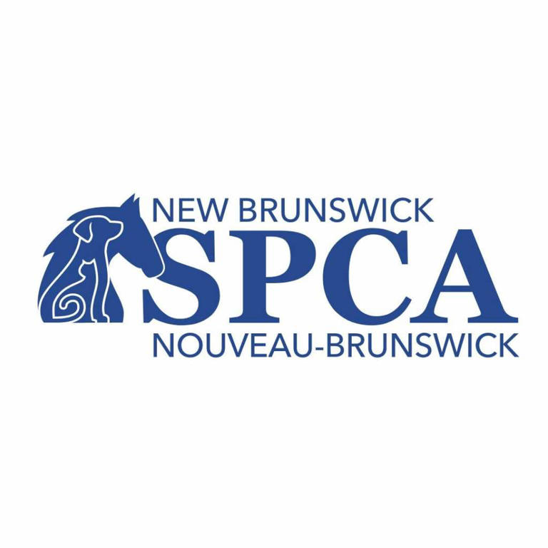 NBSPCA investigating after dog reportedly dragged behind vehicle in ...