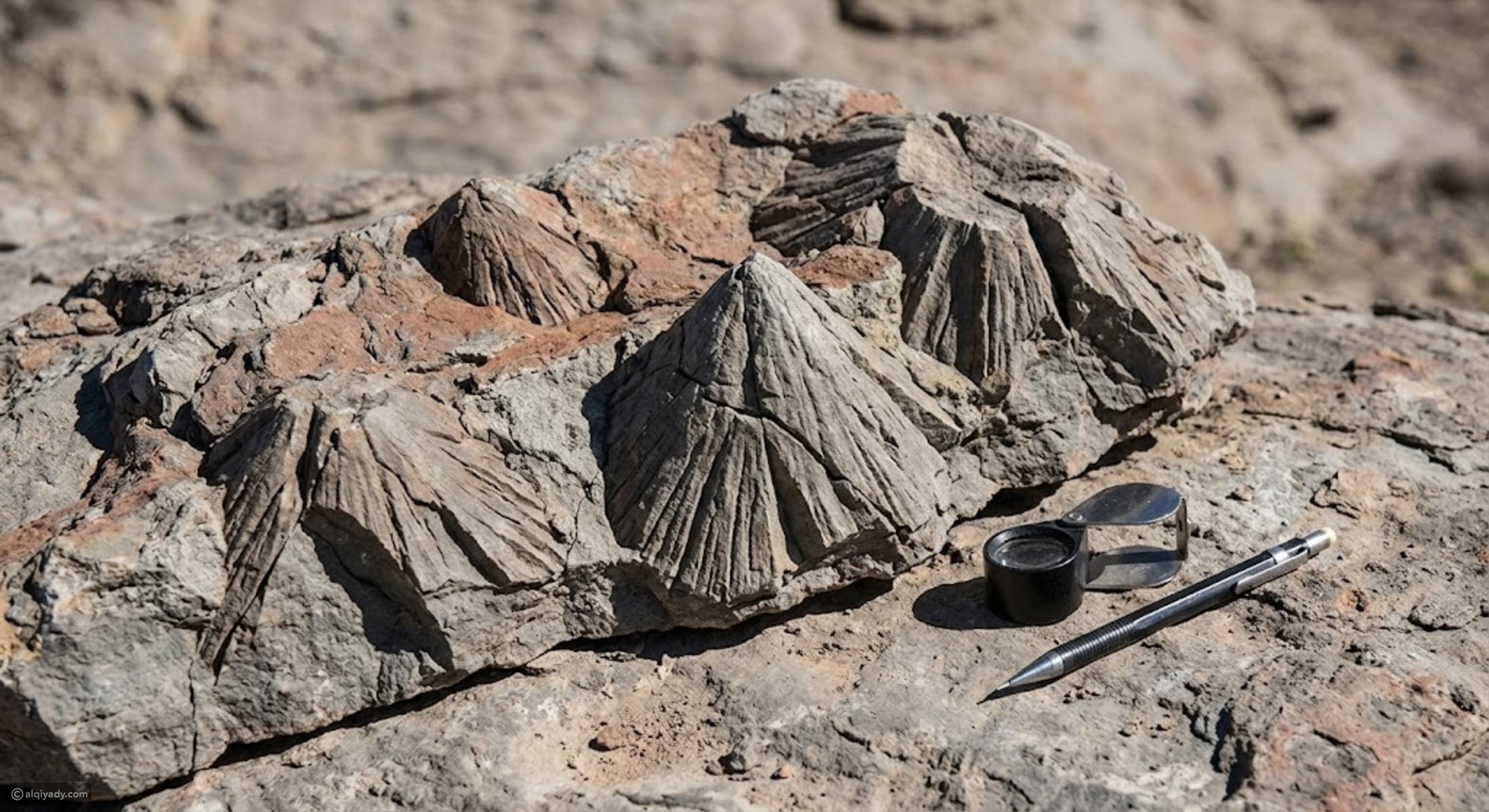 ‘Smoking gun’ evidence reveals world’s oldest meteorite strike in Australia