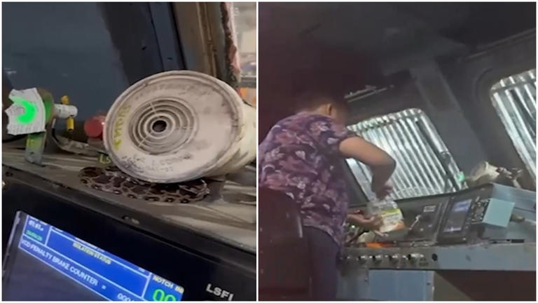 Baby python found in railway engine in Mumbai, rescued in midnight ...
