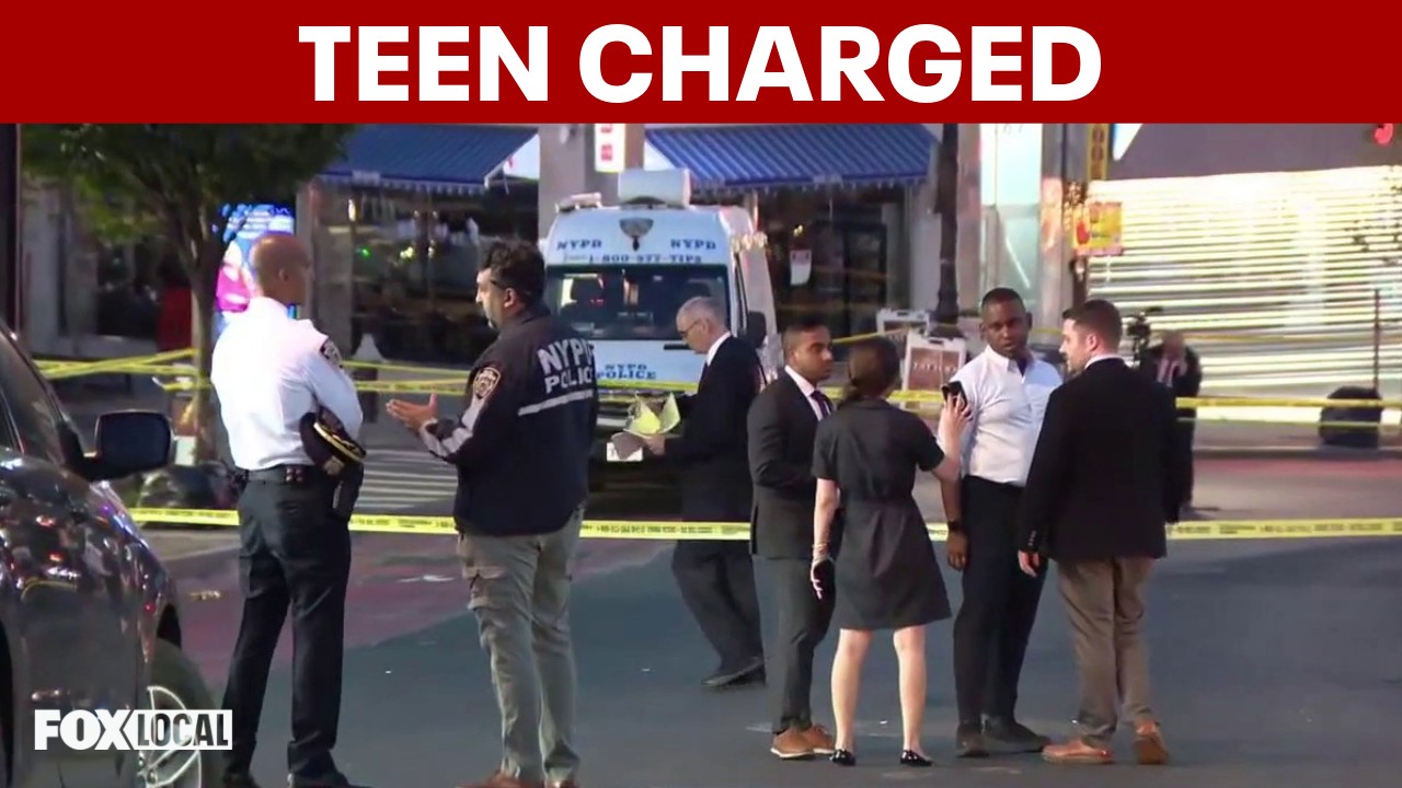 Man accused of hitting officers with stolen car faces attempted murder ...