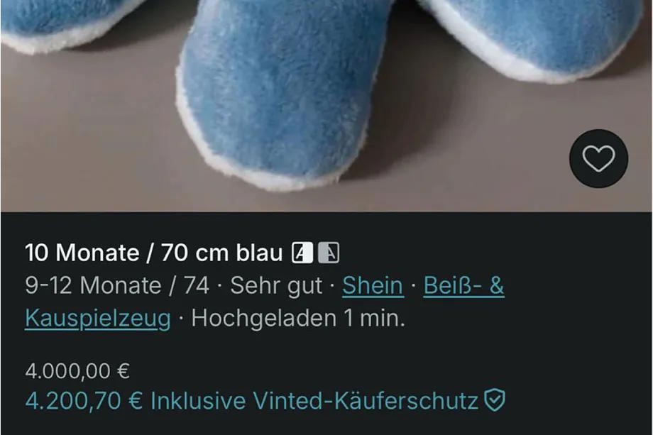France investigates several strange ads on Vinted under suspicion of ...