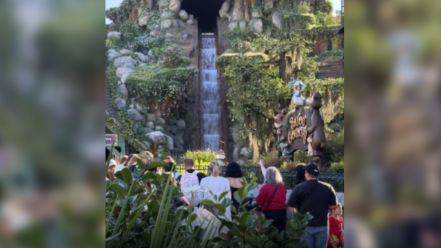 13-year-old falls down 50-foot Disneyland waterfall after jumping off ...