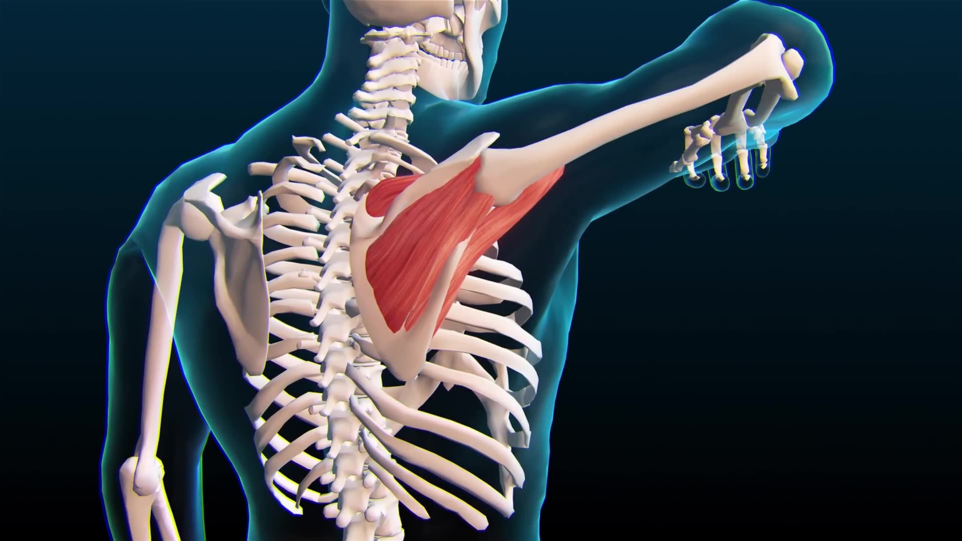 What actually works for frozen shoulder and what you can skip