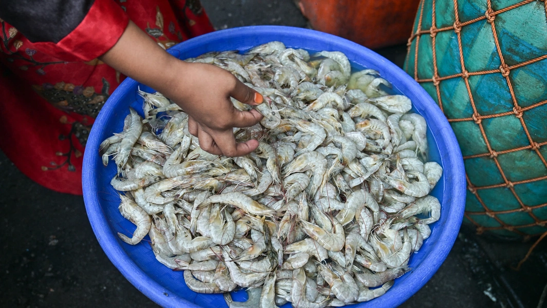 How to select, prepare, and cook shrimp perfectly