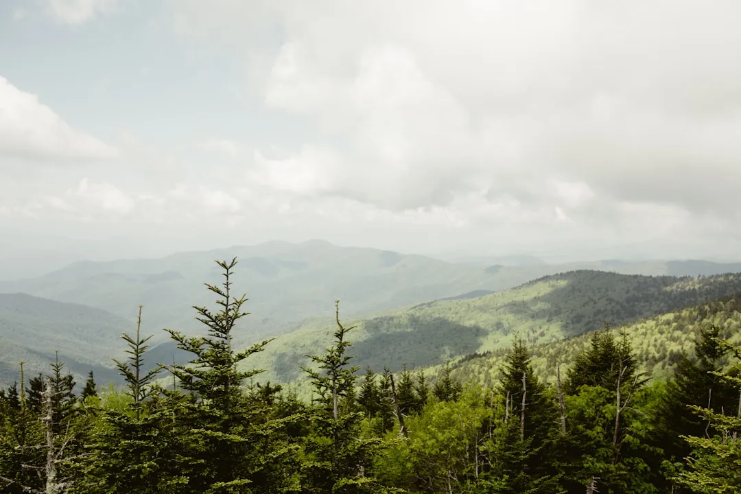 The most biodiverse regions in America that most people have never heard of
