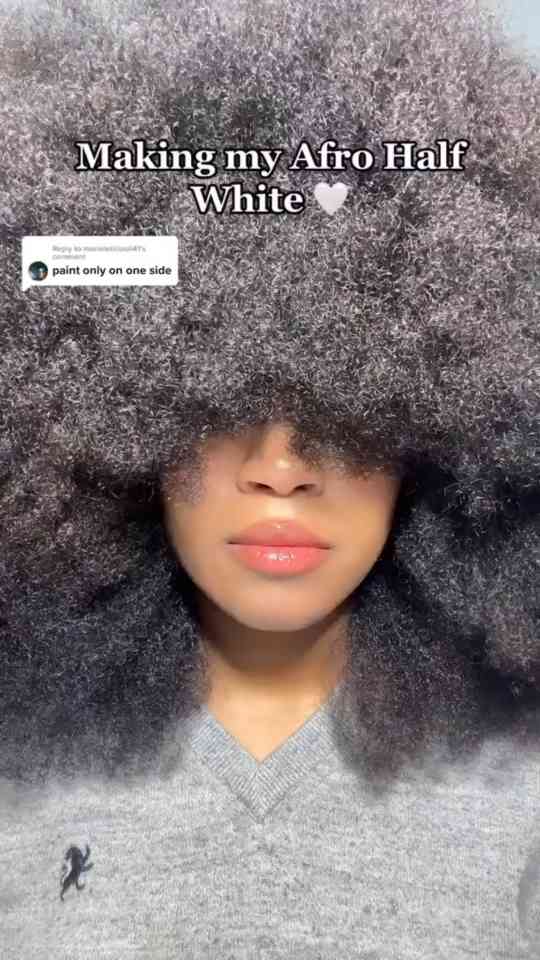 Turning My Afro Half White With Hair Paint Creative Hair Look