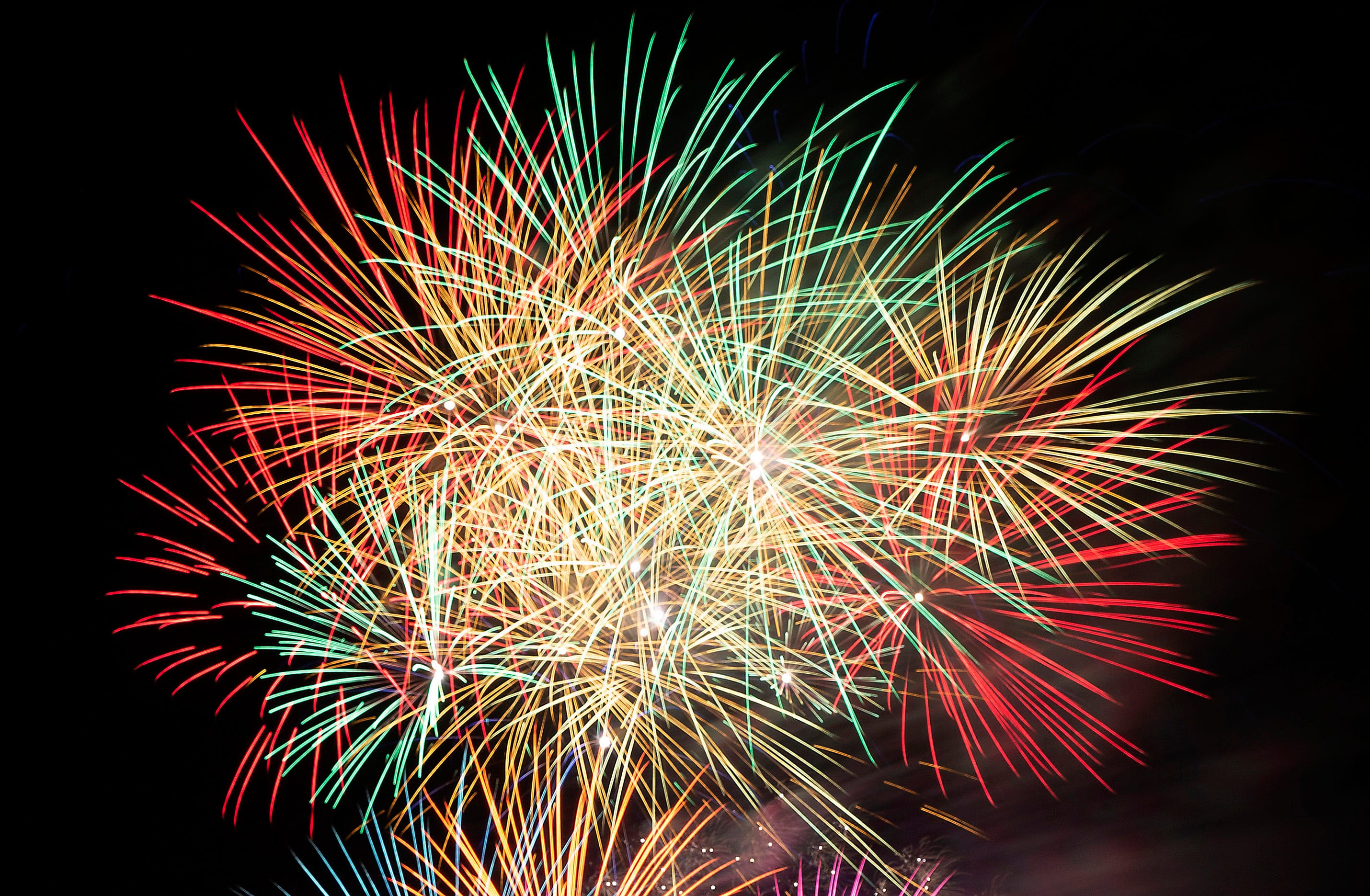 5 tips for how to keep your pets safe during Fourth of July fireworks