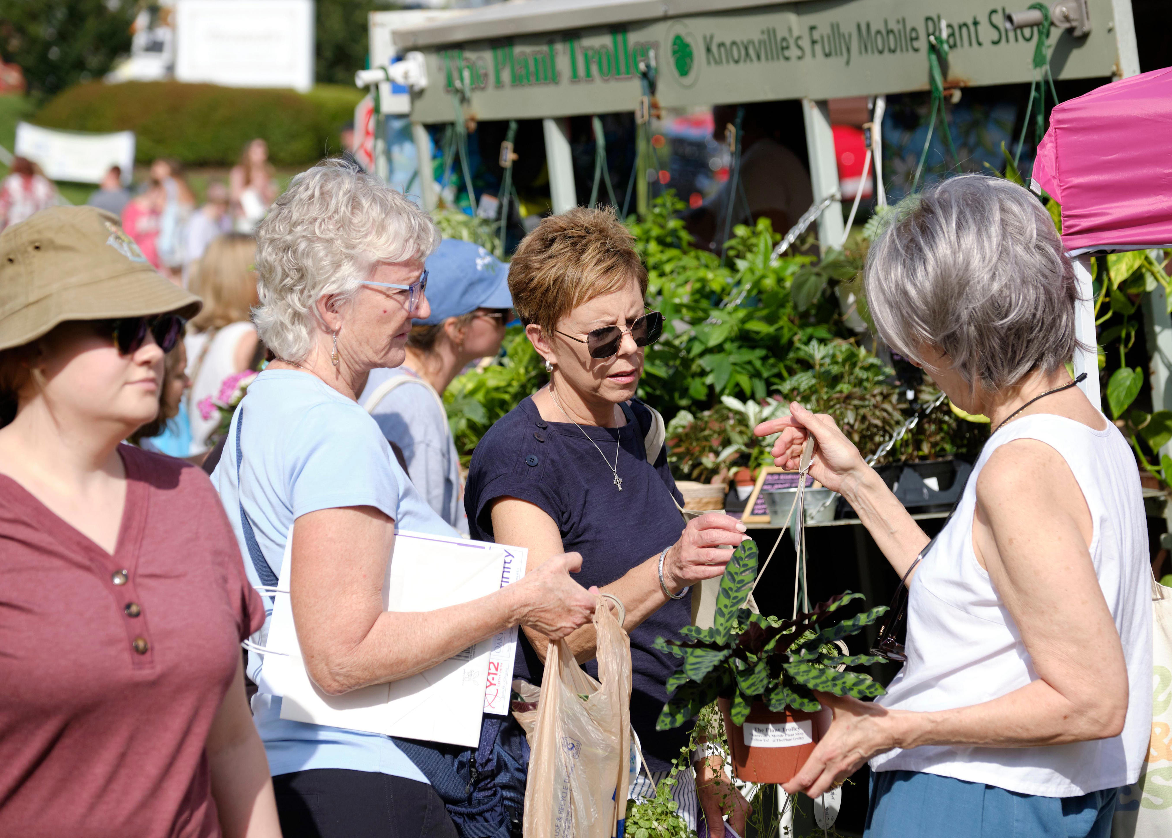 Lavender Festival draws thousands to Oak Ridge