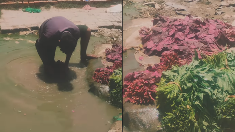 Disturbing video shows Noida man washing vegetables in filthy water ...