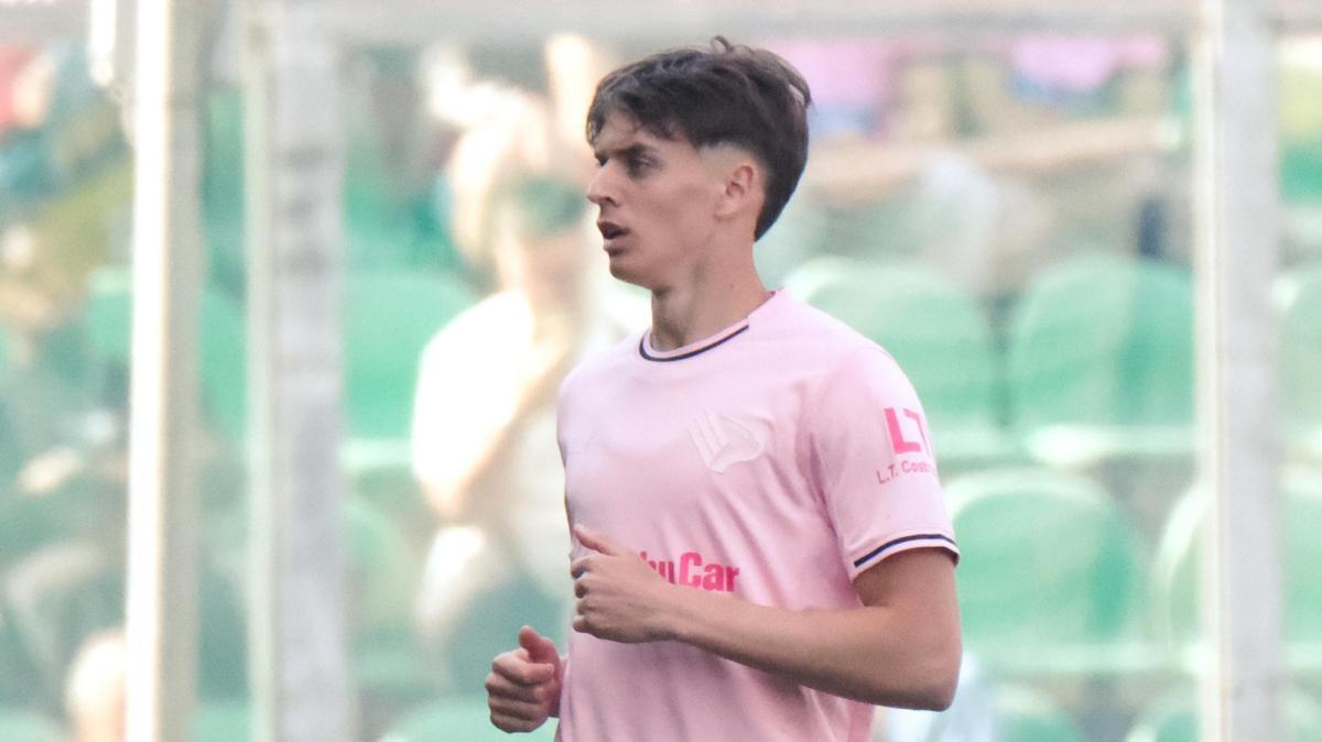 Palermo, Vasic sempre sul piede di partenza: c'è il Vicenza in pole per ...