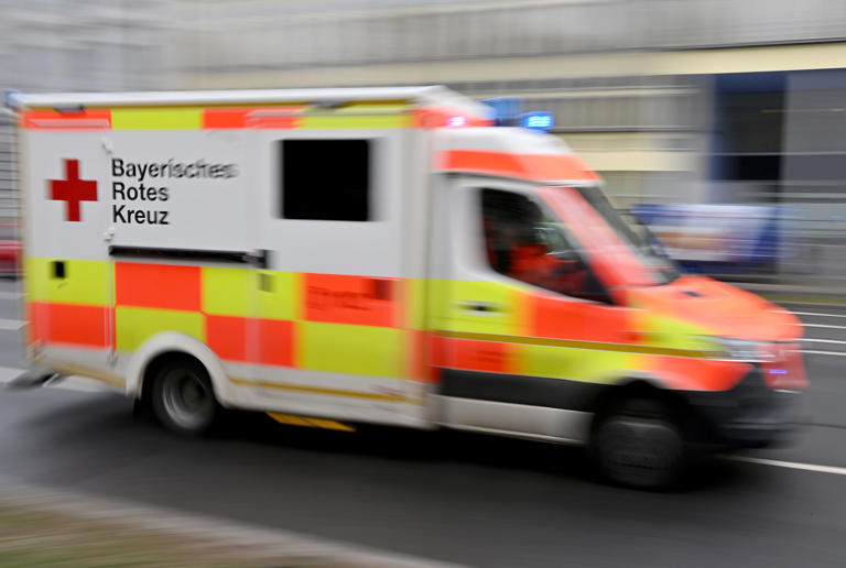 Erster Borna-Virus-Todesfall im Kreis Neuburg-Schrobenhausen