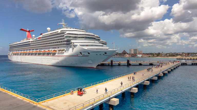 Massive brawl breaks out between Carnival Cruise Line passengers at ...