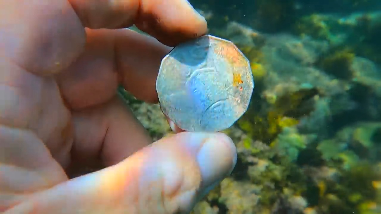 He filled a trolley with underwater coins - over $1,500 - then the bank ...