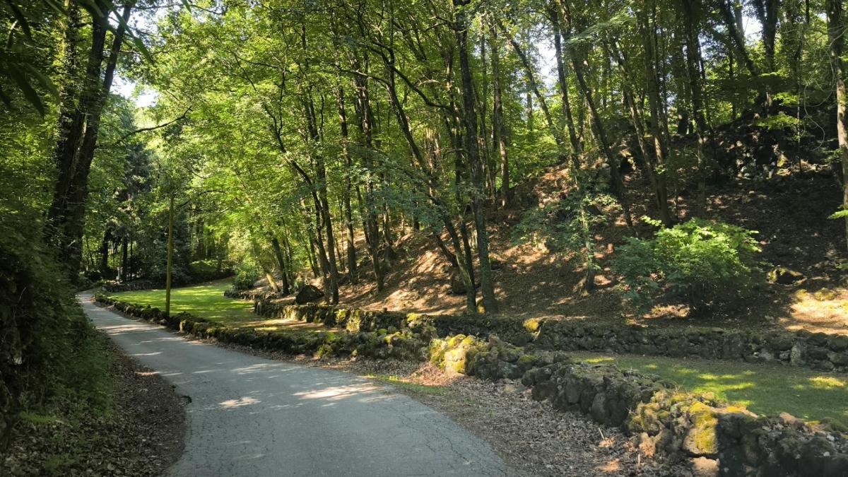 La Fageda d'en Jordà, gran refugio contra la ola de calor del verano