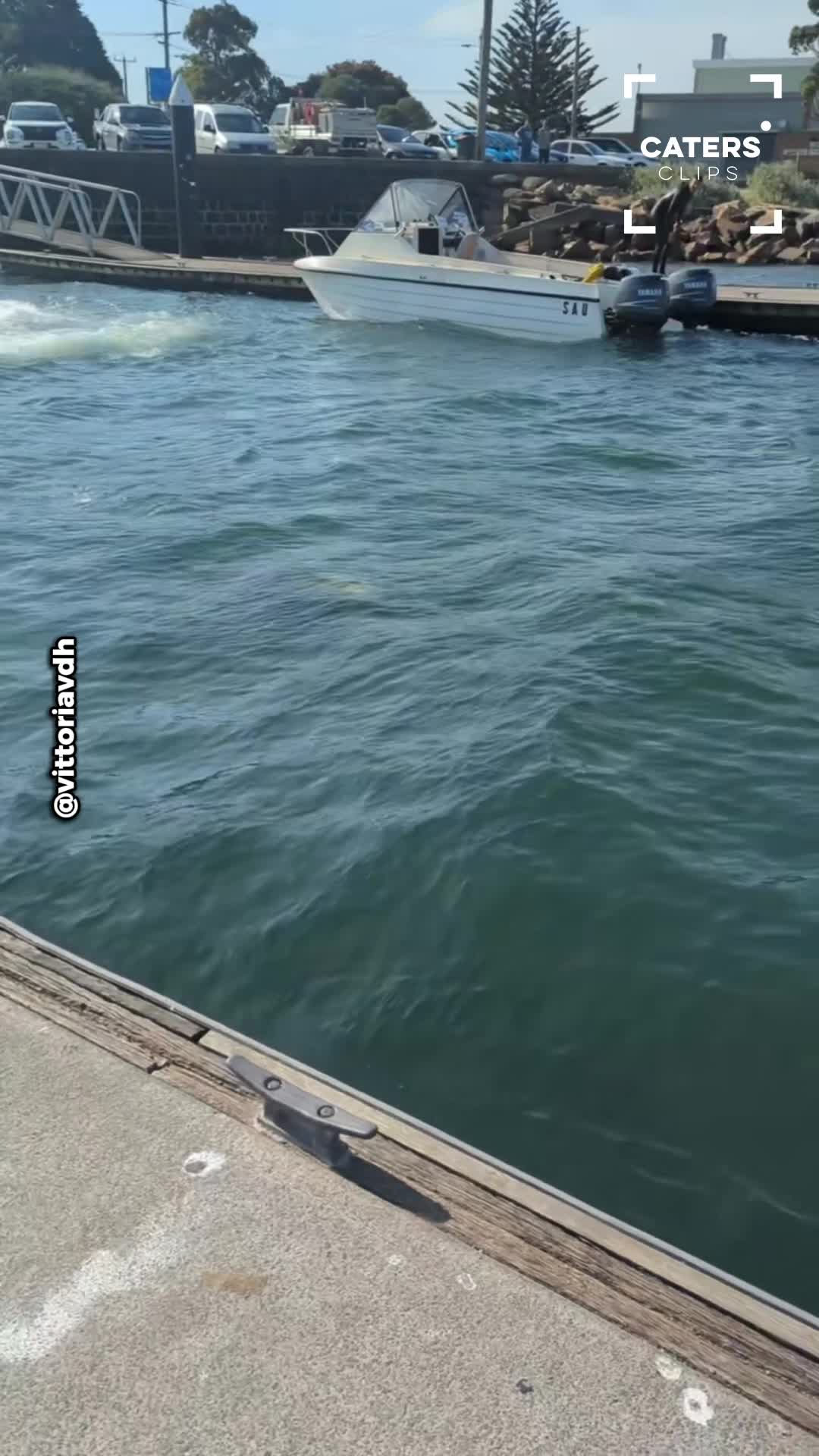 Unexpected animal encounter leaves woman screaming