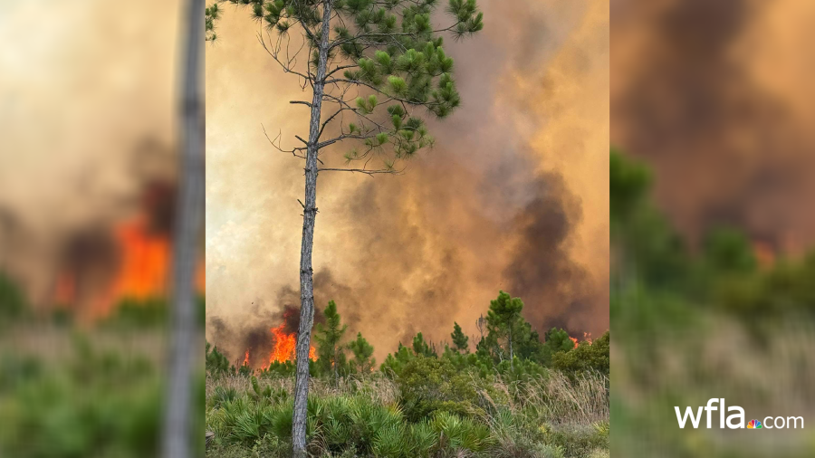 Multiple agencies battle 850-acre brush fire in North Port