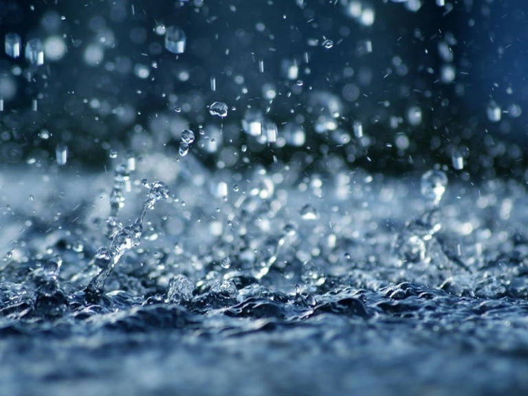 Newark will open fire hydrants, local kids invited to splash around ...