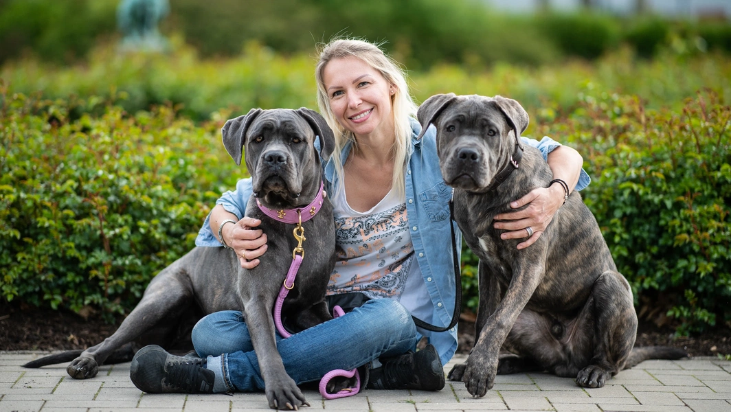 11 strongest and most capable dog breeds